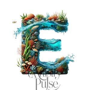 26 Marine Life Fonts SVG Bundle Ocean-themed Typography, Sea Life ...