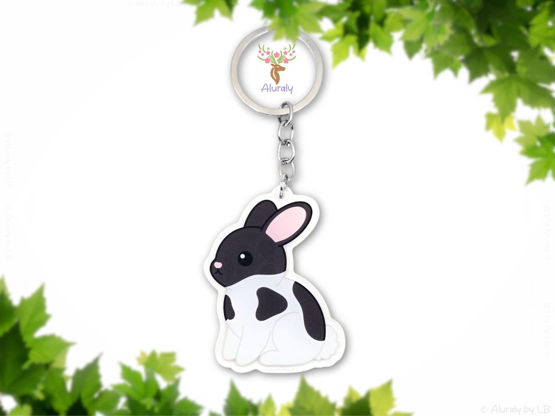 Broken Black Netherland Dwarf Rabbit Acrylic Keychain, Cute Cartoon ...