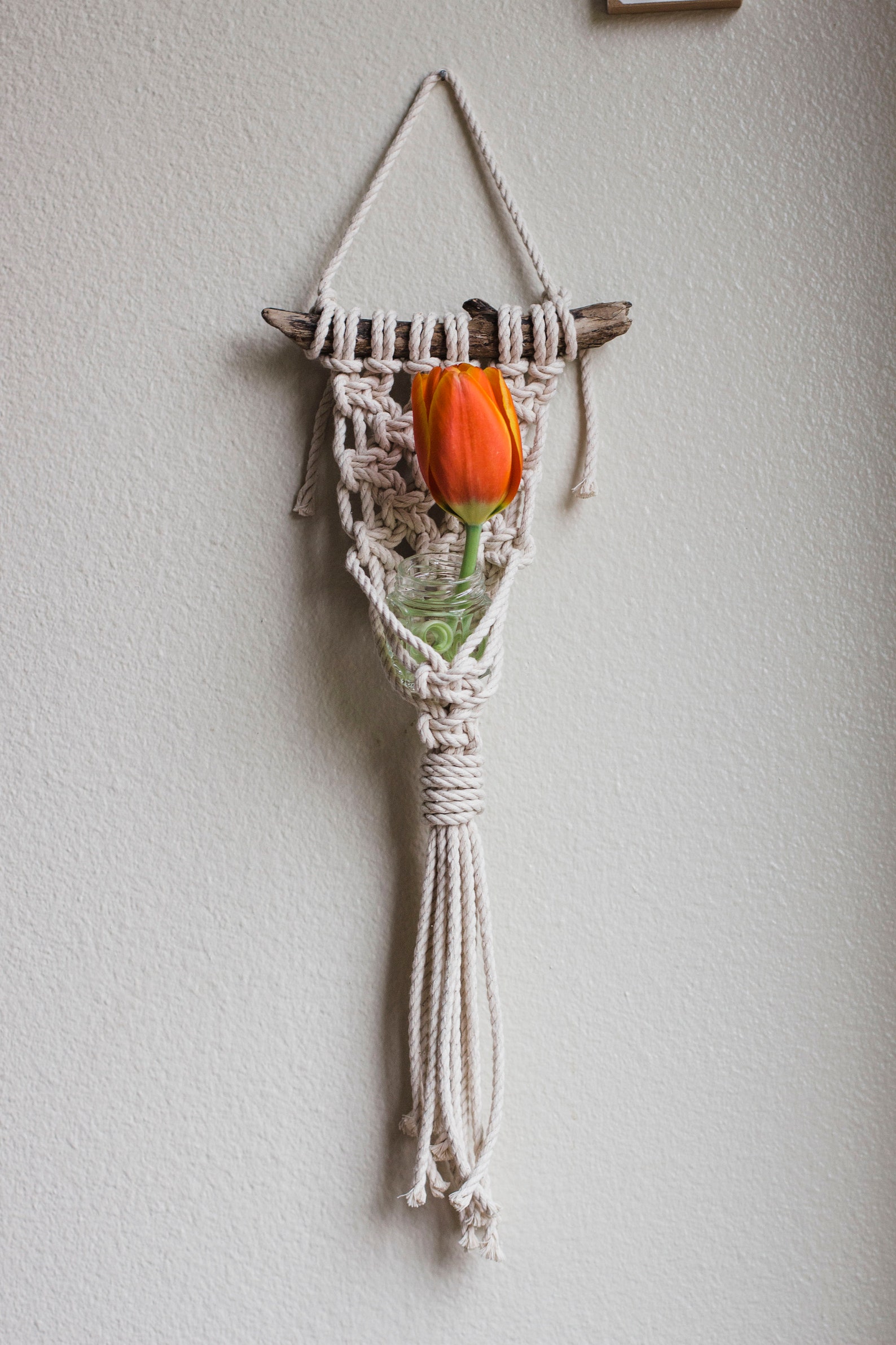 Pattern: DIY Macrame Air Plant Hanger Pattern Flat Wall - Etsy