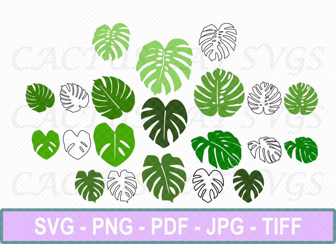 Monstera Leaf Pack - SVG PNG JPG Tiff Pdf - Digital Files Great for ...