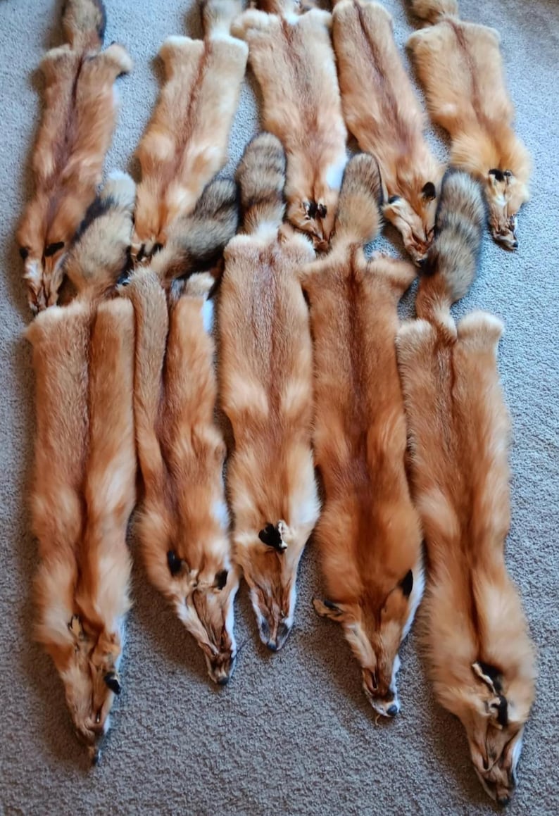 Gorgeous Red Fox Fur Pelt, Perfect for Crafting, Cosplay, Renaissance - Etsy