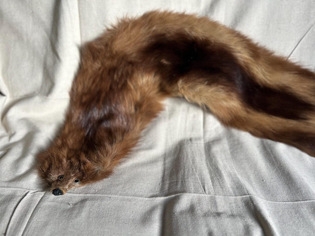 Unique Antique Wolverine Pelt Fur Shawl - Etsy