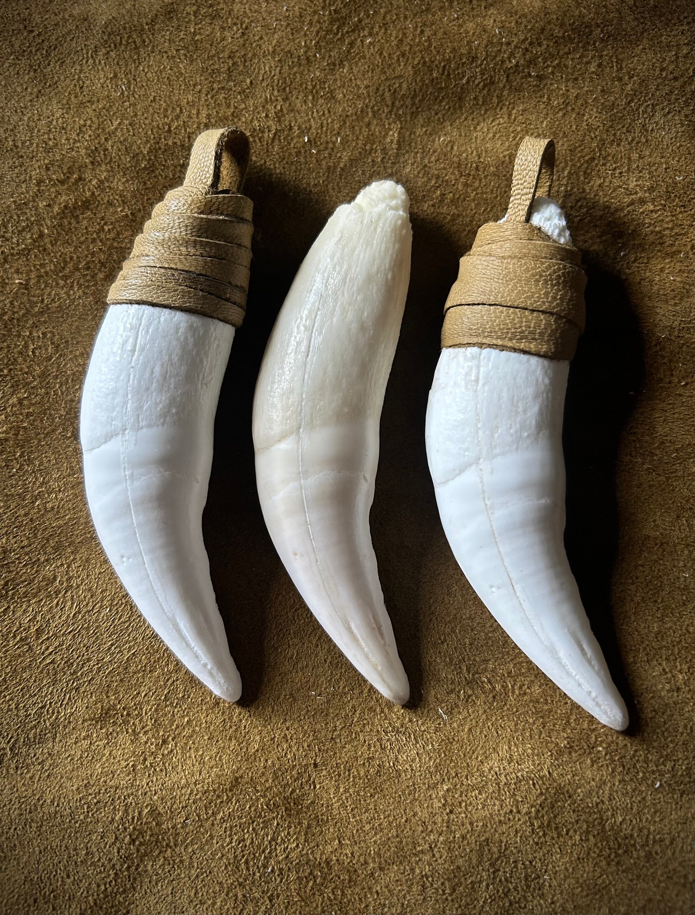 Quality Leather-wrapped Replica African Lion Tooth Pendant, Cast From ...