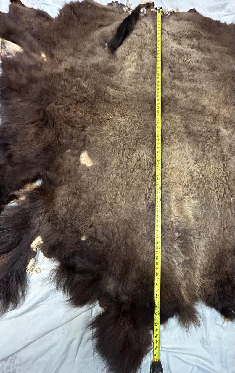 HUGE Soft Tanned Buffalo Bison Cow Hide Skin Rug - Cabin Decor ...