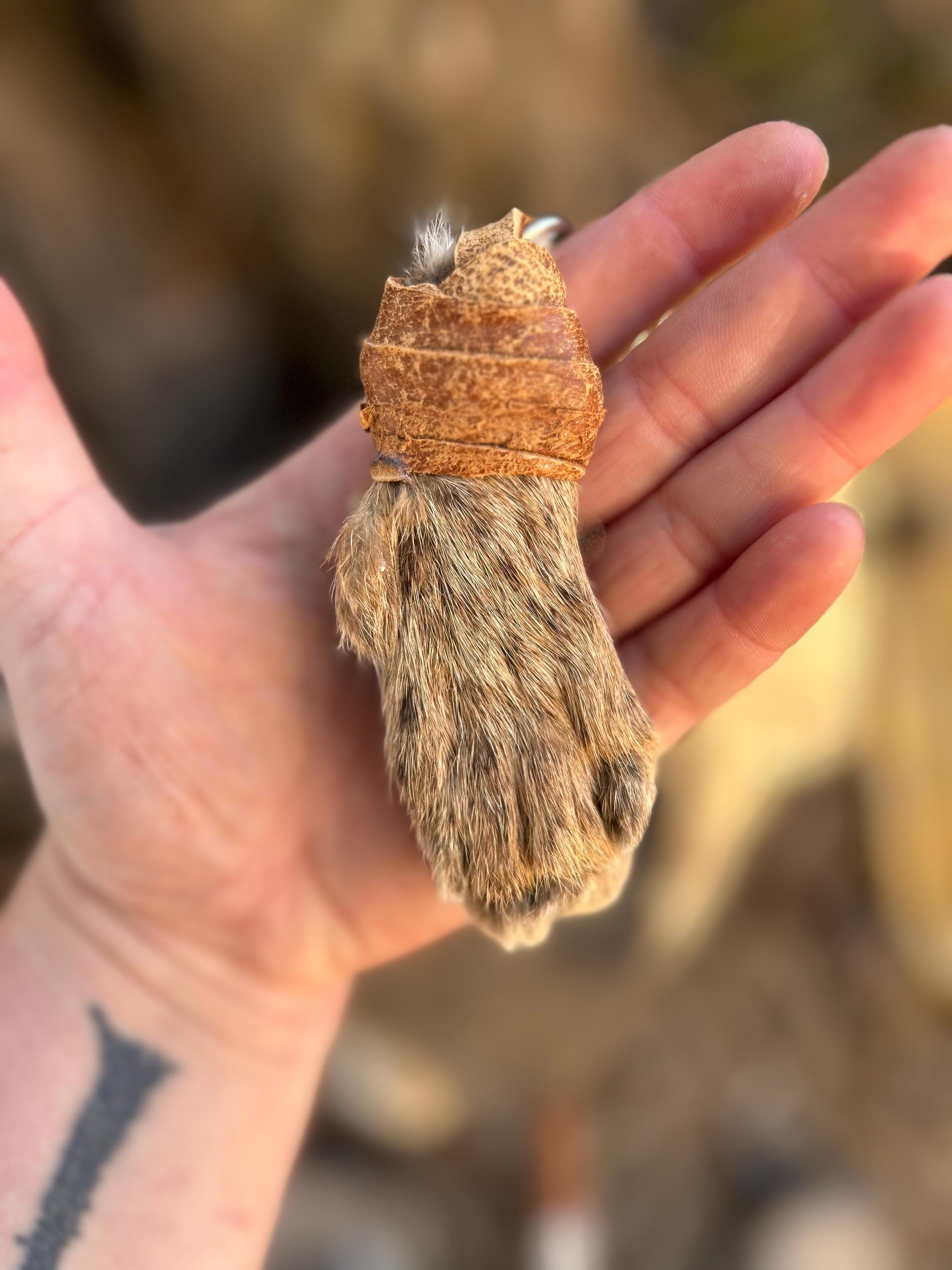 Preserved Taxidermy Bobcat Paw Keychains - Buckskin Leather Wrapped - Etsy