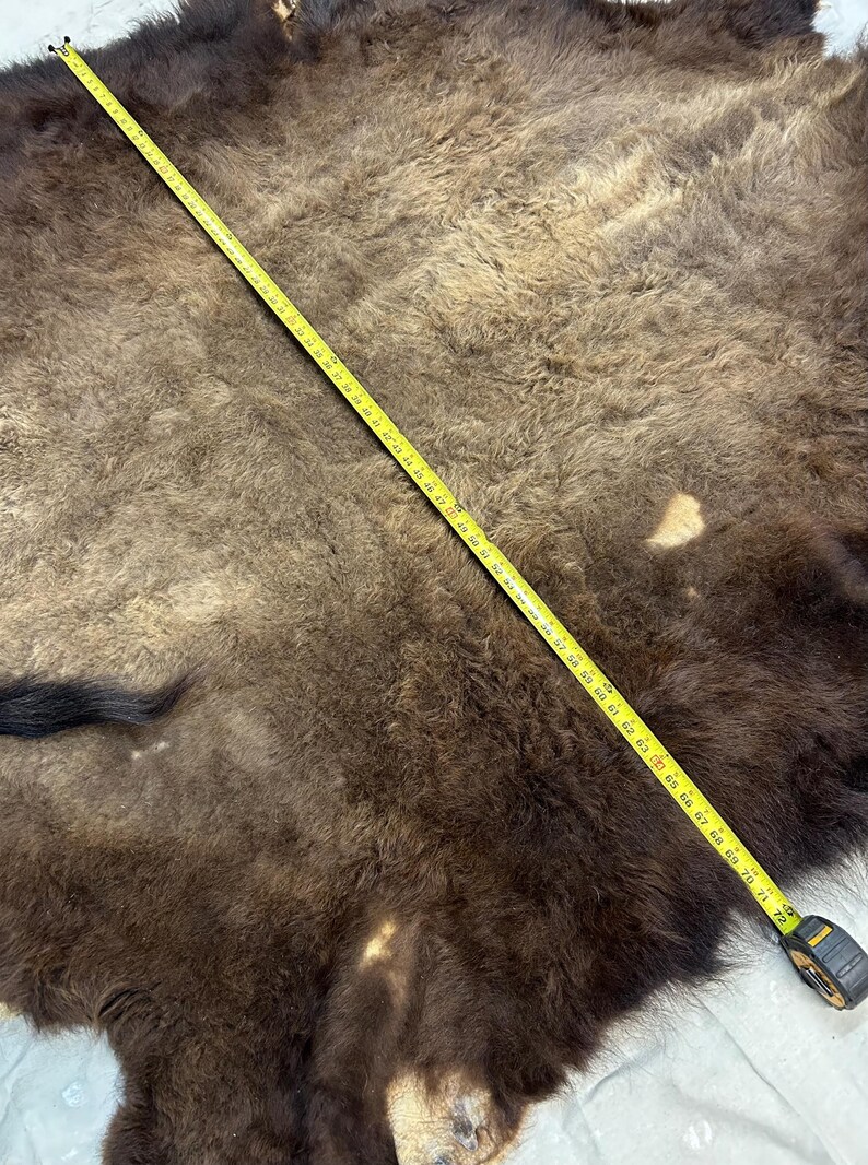 HUGE Soft Tanned Buffalo Bison Cow Hide Skin Rug - Cabin Decor ...