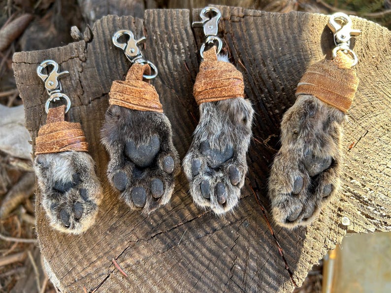 Preserved Taxidermy Bobcat Paw Keychains - Buckskin Leather Wrapped - Etsy