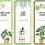 Number Posters Classroom 0-20, Editable Posters, Pastel Numbers ...
