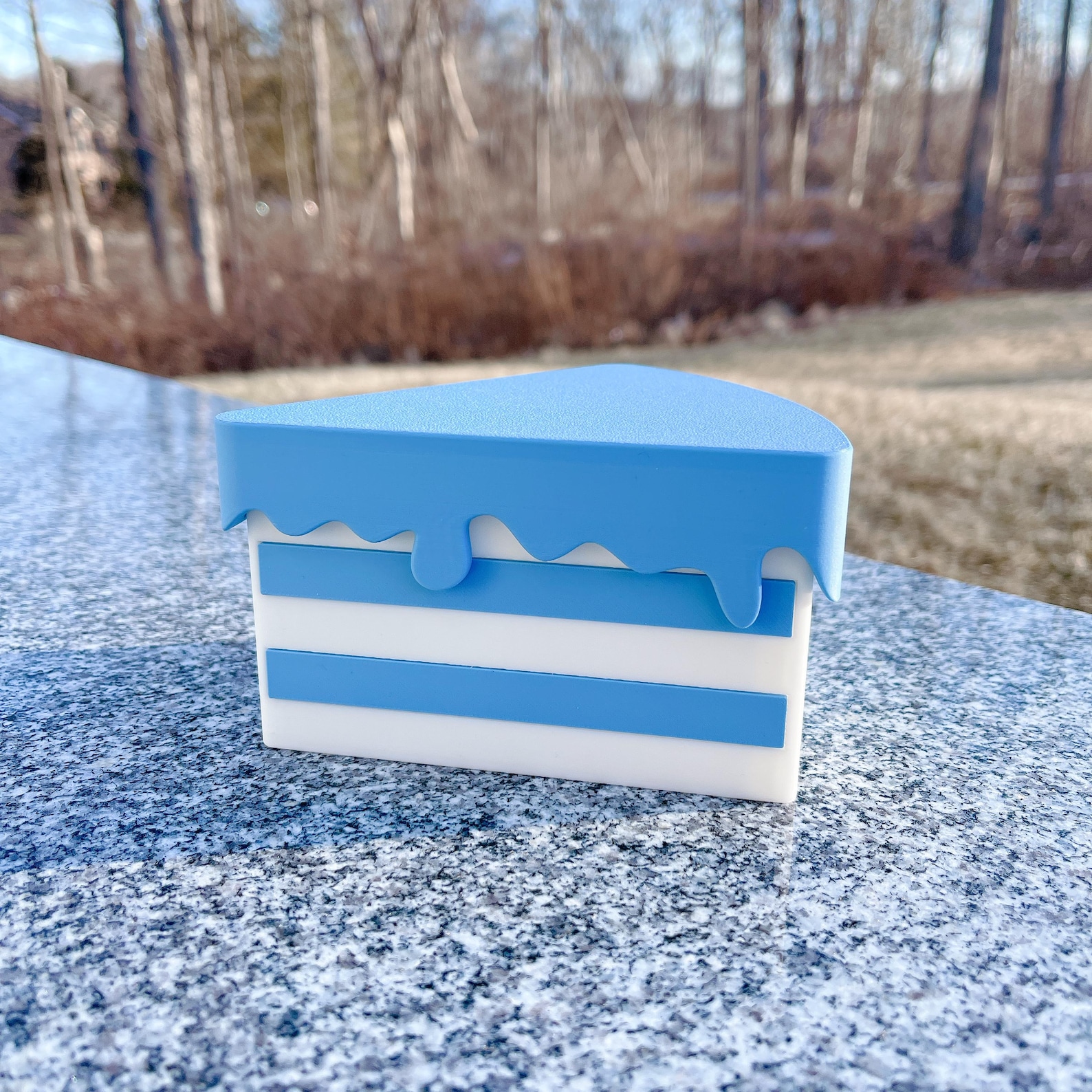 Cake Slice Container, Magnetic Cake Slice Container, Custom, 3D Printed ...