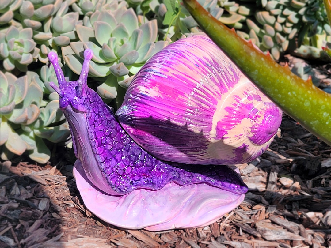 Sn'lamp Hand-painted Custom Snail Lamp Light-up Shell Bulb Included ...