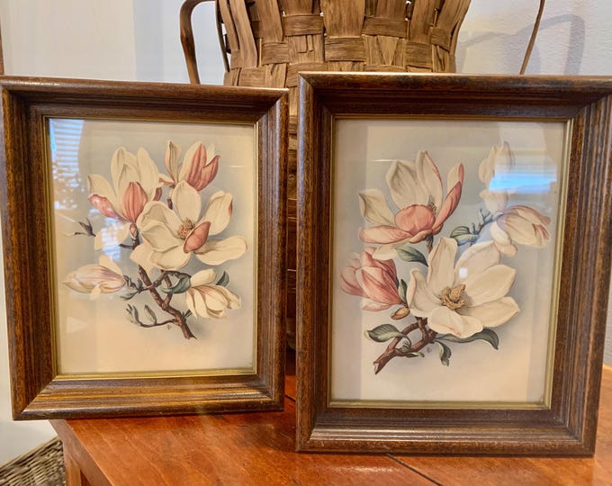Vintage 1950’s Era Framed Litho Magnolia Blossoms Set of 2 - 7” X 8 ...