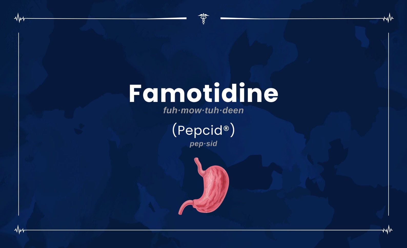 Paramedic Pharmacology Digital Drug Cards for Students, Emts ...