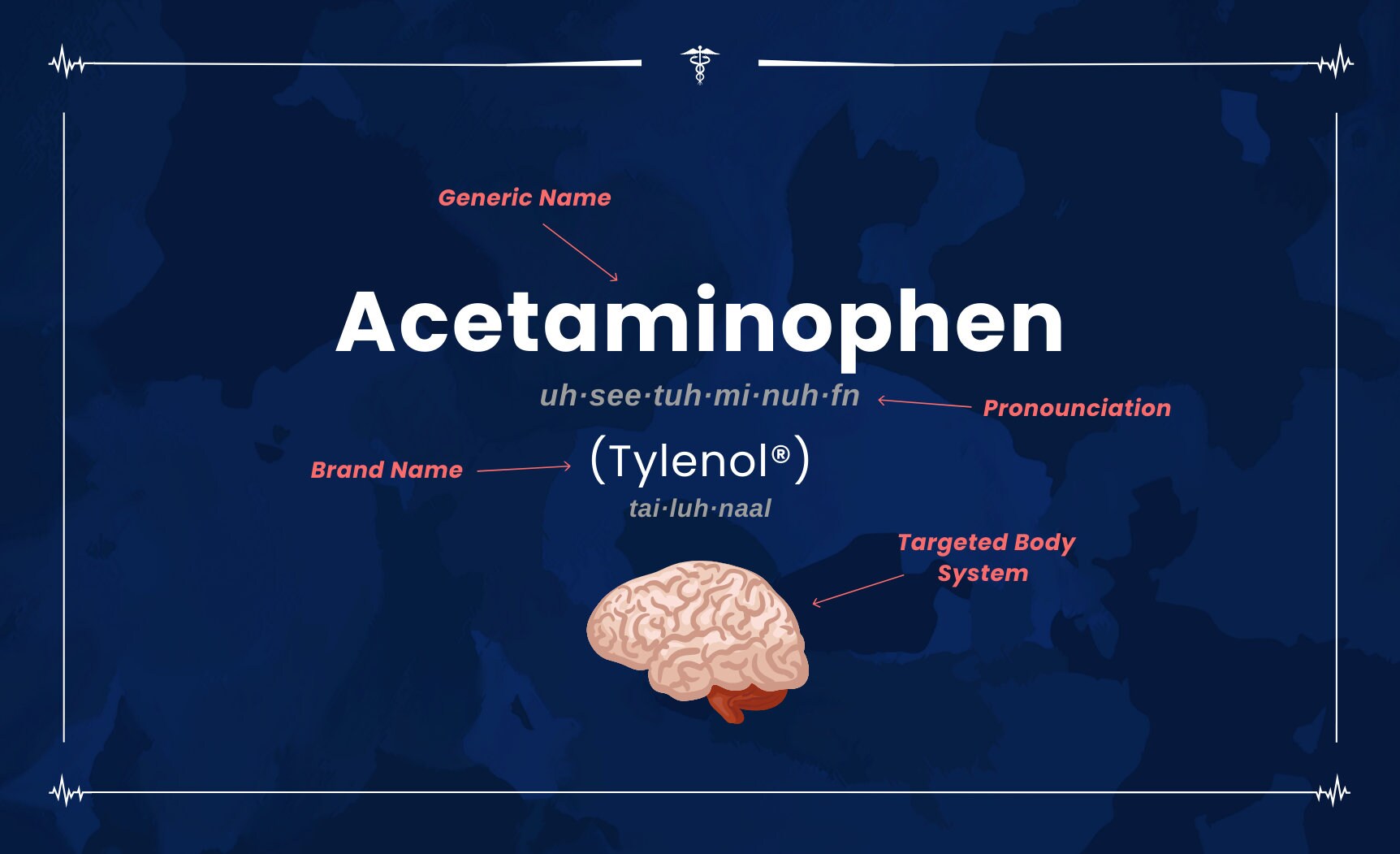 Paramedic Pharmacology Digital Drug Cards for Students, Emts ...