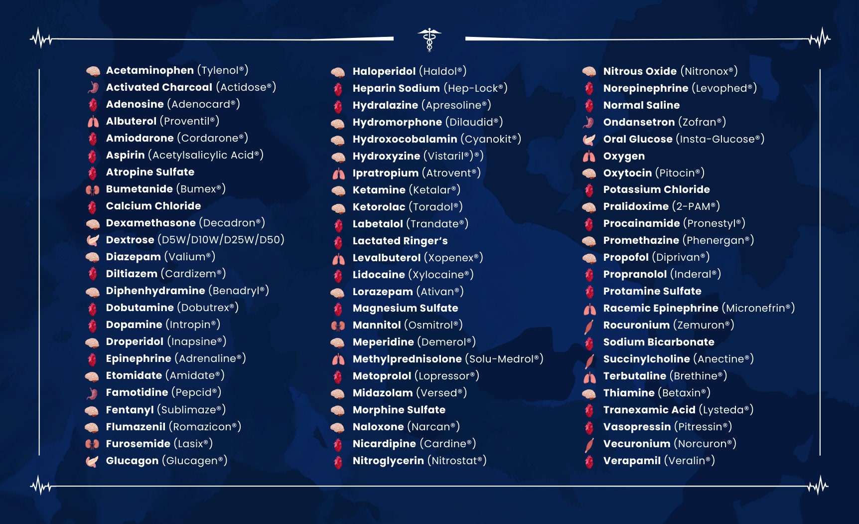 Paramedic Pharmacology Digital Drug Cards for Students, Emts ...