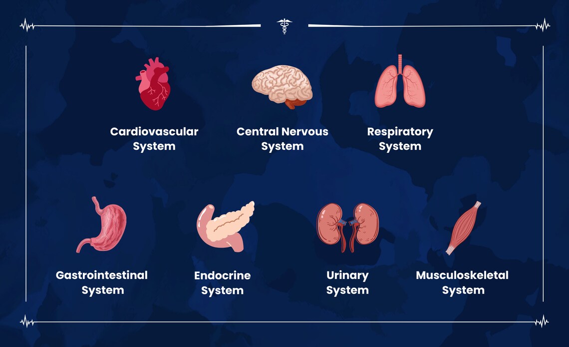 Paramedic Pharmacology Digital Drug Cards for Students, Emts ...
