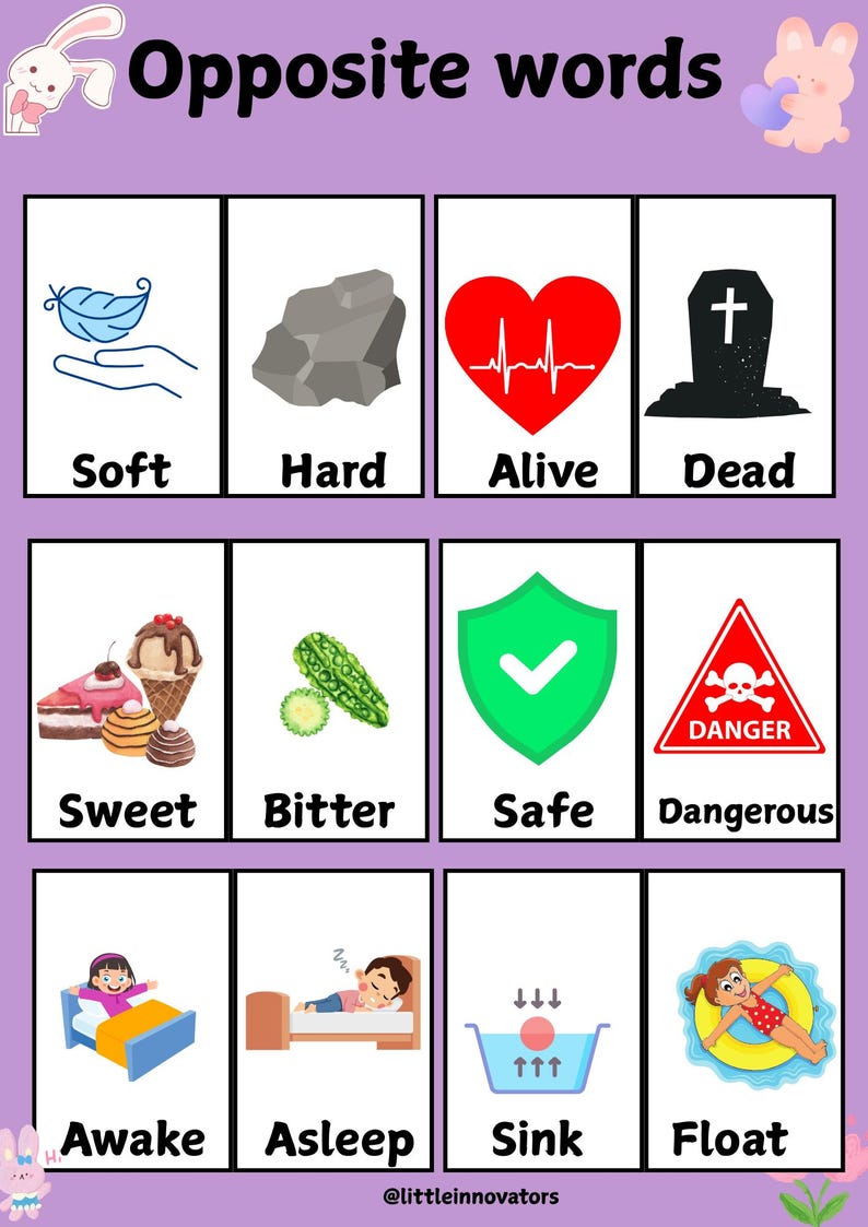 Opposites Matching Activity, Preschool, Kindergarten, Nursery, Special ...