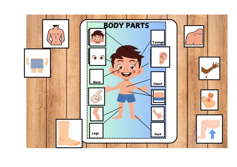 Body Parts Printable Activities for Anatomy Learning Pages Montessori ...