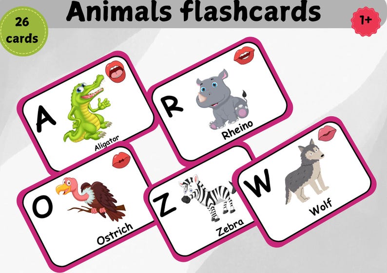 Zoo Animals Flash Cards: A-Z Phonics Learning (PDF Download) - Etsy