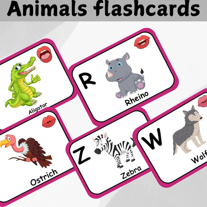 Animal Flash Cards - Etsy