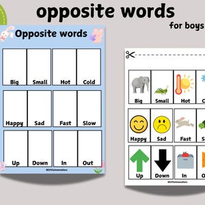 Opposites Matching Activity, Preschool, Kindergarten, Nursery, Special ...