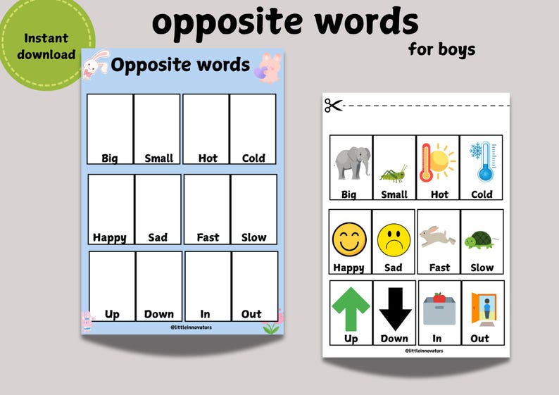 Opposites Matching Activity, Preschool, Kindergarten, Nursery, Special ...