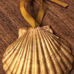Nautical Green Crab Baker's Clam Shell Ornament/shell Ornament/gift ...