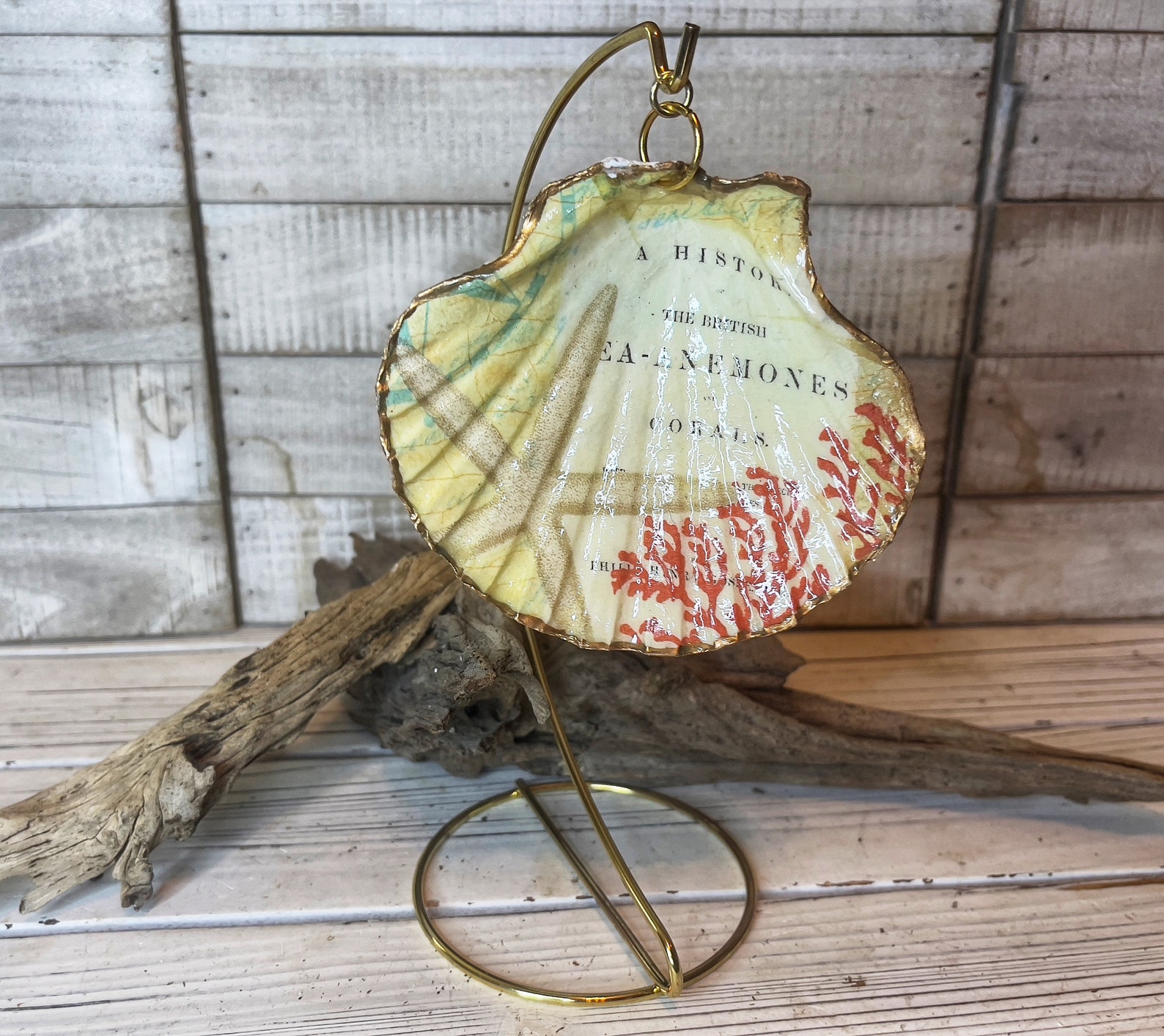 Decoupaged Bakers Clam Shell on Display Stand/decoupaged Bakers Clam ...