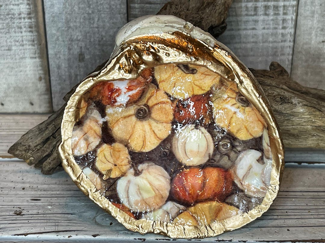 Pumpkins Clam Shell and Oyster Shell Trinket Dish/ Ring Dish/ Coastal ...