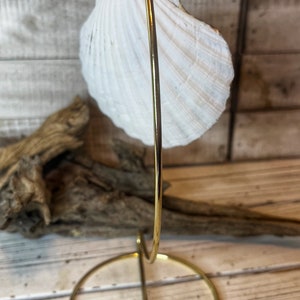 Decoupaged Bakers Clam Shell on Display Stand/decoupaged Bakers Clam ...