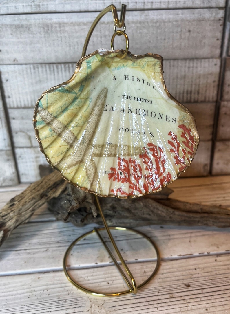 Decoupaged Bakers Clam Shell on Display Stand/decoupaged Bakers Clam ...