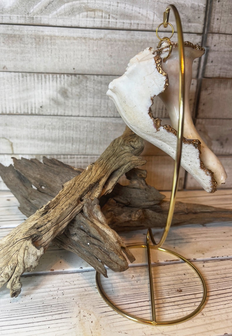 Decoupaged Conch Shell on Display Stand/decoupaged Conch Decor/nautical ...