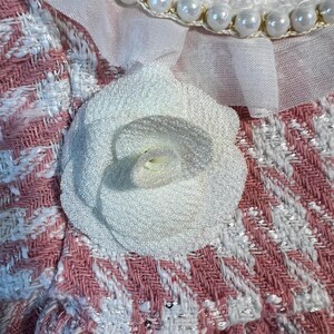 Personalized Pink Tweed Pet Dress With Necklace & Clip - Stylish Dog ...