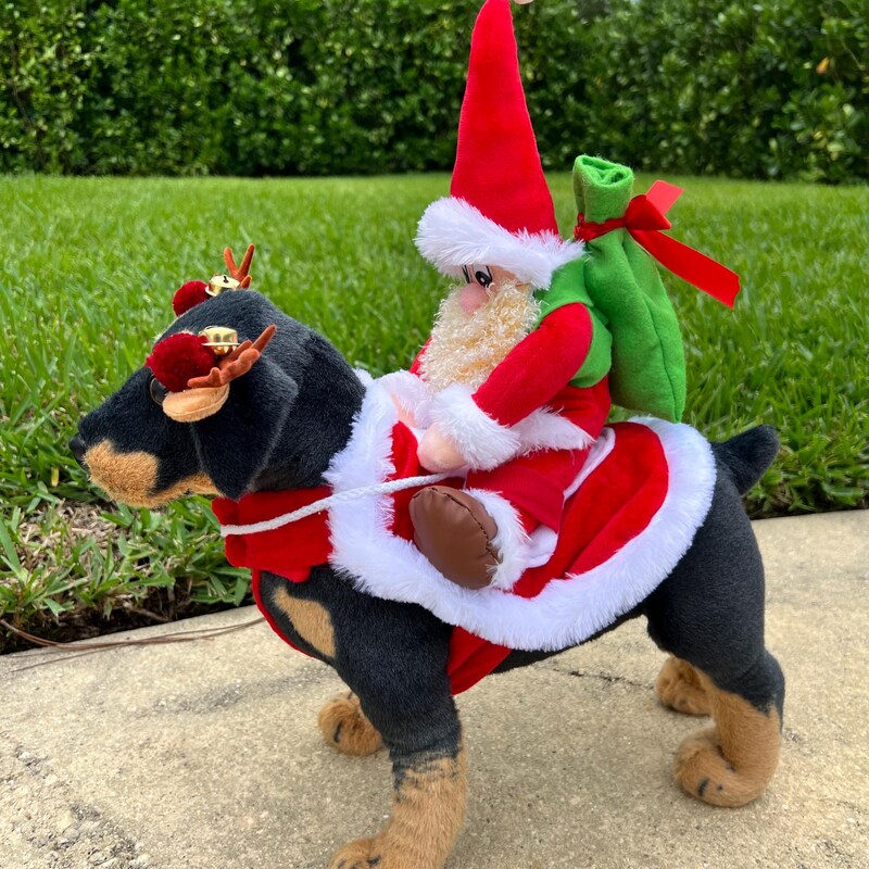 Dog in Christmas Costume - Etsy