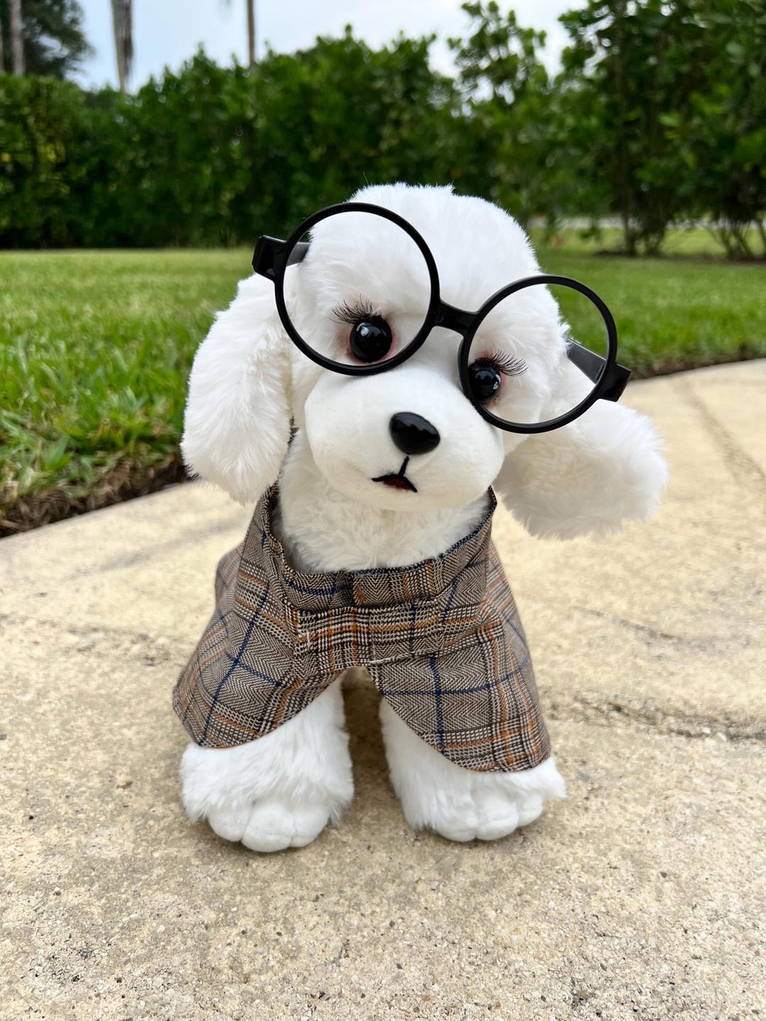 Mystery Solver Pet Costume - Sherlock Holmes Style Cape & Glasses, Pet ...