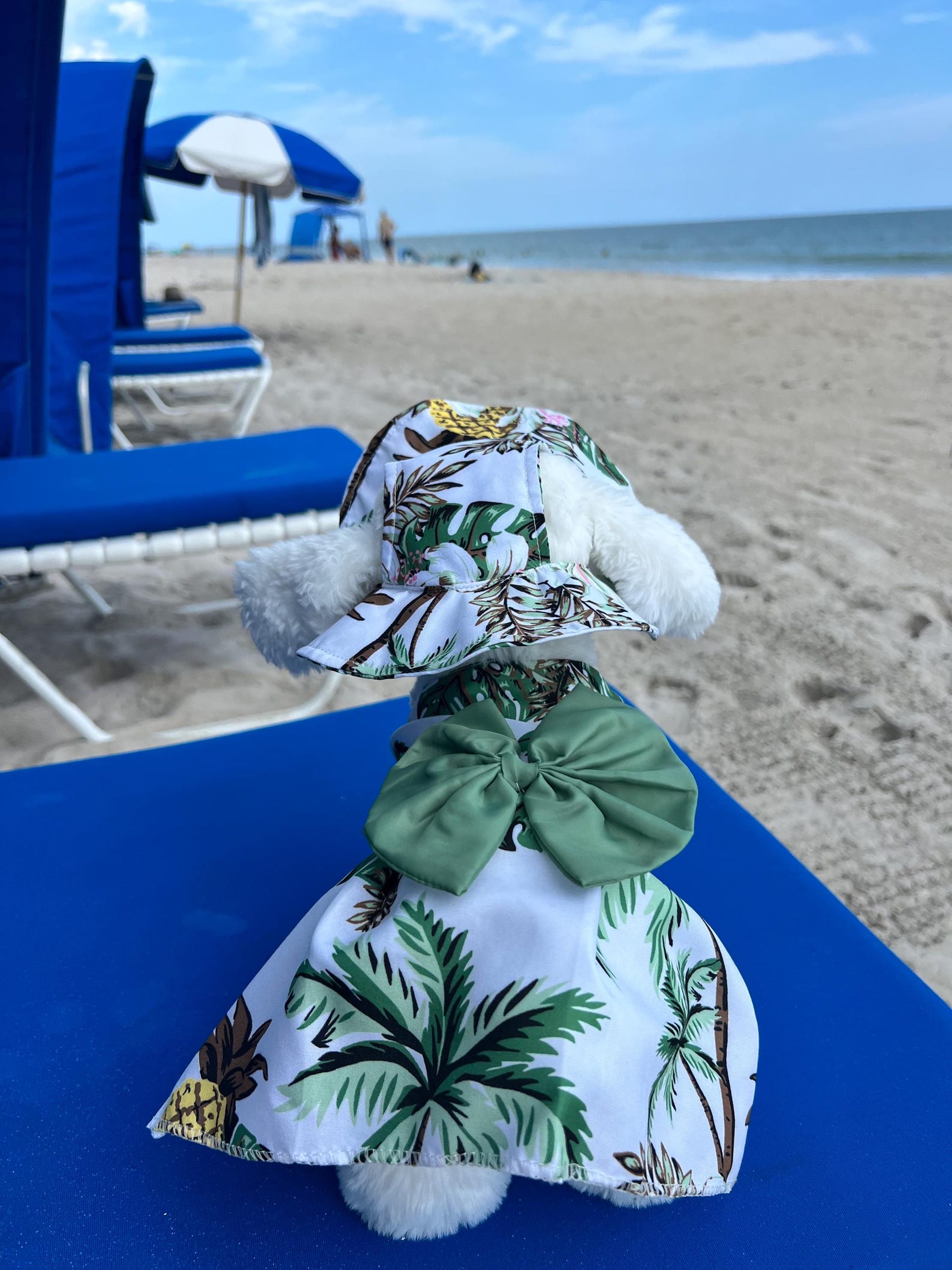 Tropical Dog Dress & Sun Hat Set – Hawaiian Summer Outfit for Small ...