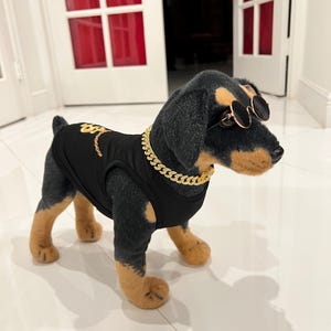 Dog Rapper Shirt, Hip Hop Dog Outfit, Funny Dog Clothes, Gold Chain Dog ...