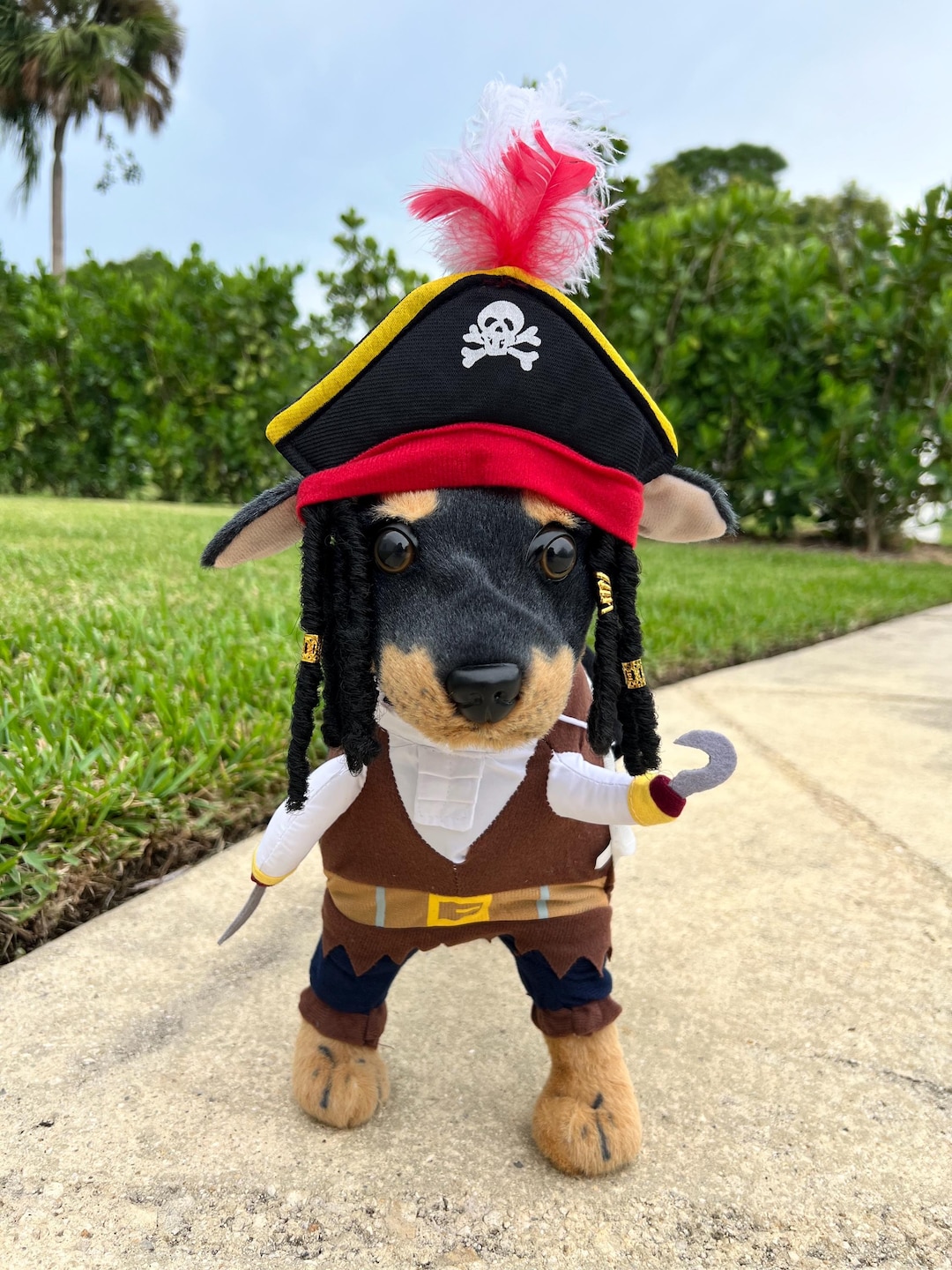 Dress up Your Pup as a Swashbuckling Pirate for Halloween Fun! Pet ...