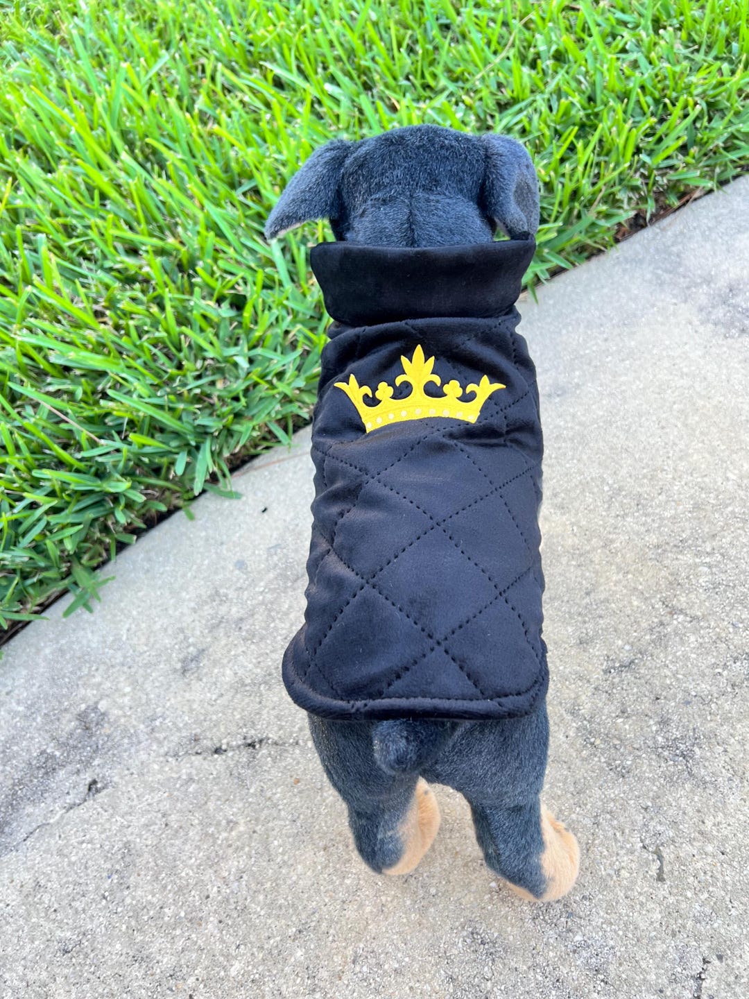 Royal Black Dog Vest - Cozy Pet Apparel With Gold Crown, Pet Sweater ...