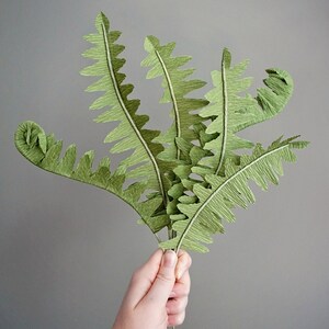Maidenhair Fern: Handmade Crepe Paper Foliage - Etsy