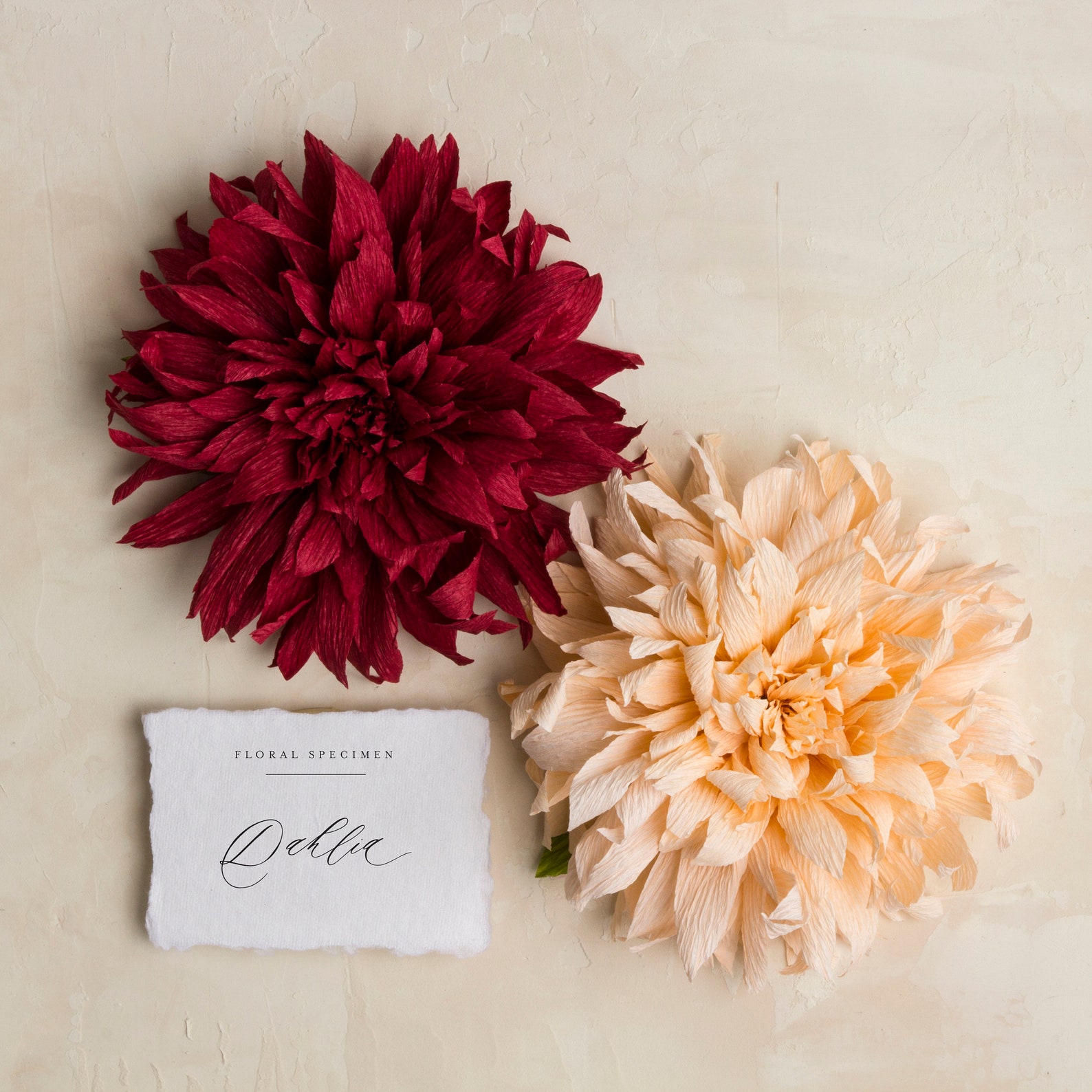 Dahlia: Handmade Crepe Paper Bloom - Etsy