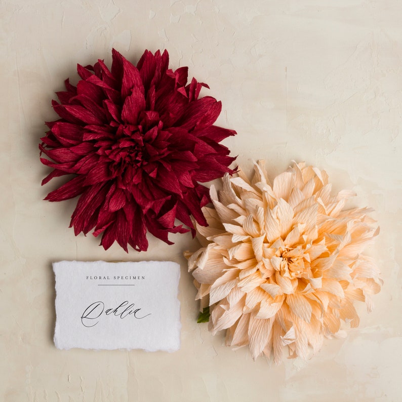 Dahlia: Handmade Crepe Paper Bloom - Etsy