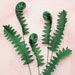 Maidenhair Fern: Handmade Crepe Paper Foliage - Etsy