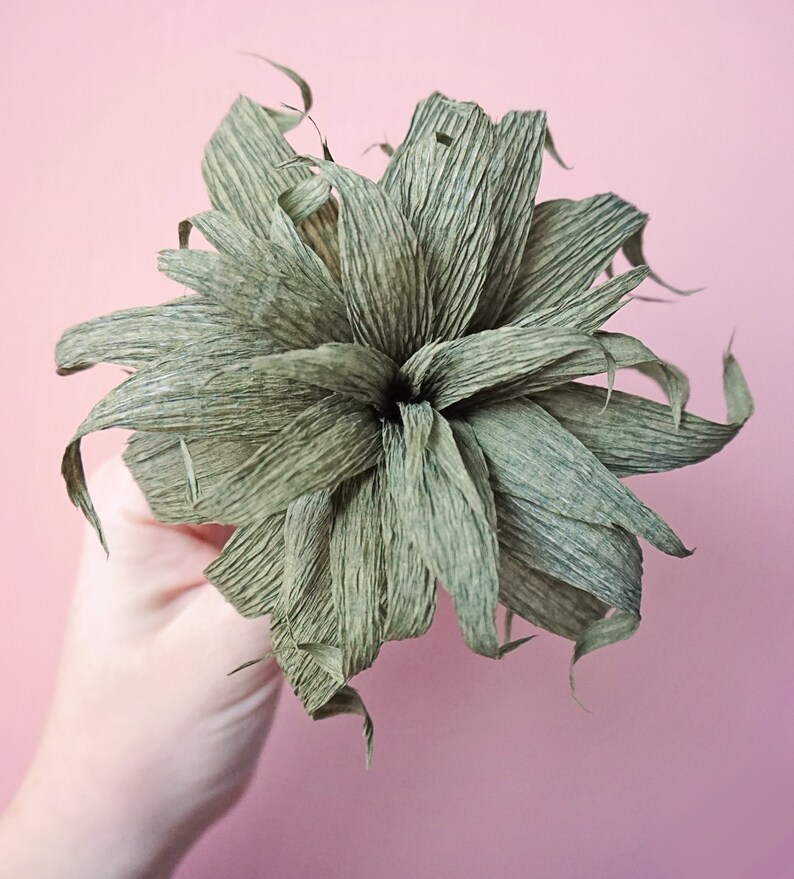 Tillandsia Airplant: Handmade Crepe Paper Plant | Etsy