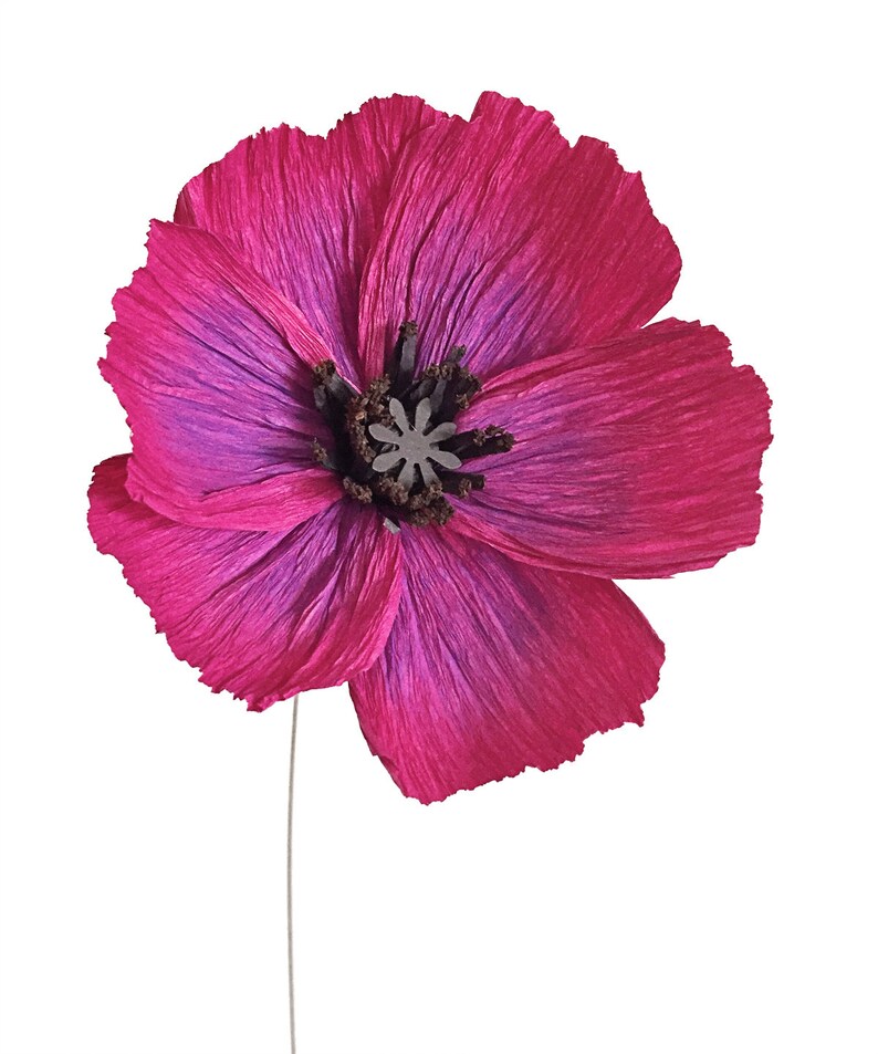 Oriental Poppy—handmade Crepe Paper Flower - Etsy