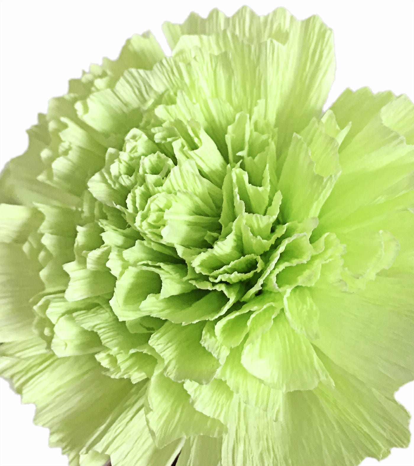 Classic Carnation: Handmade Crepe Paper Flower | Etsy