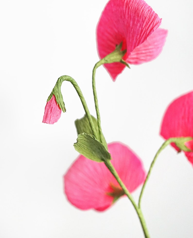 Sweet Pea Vine: Handmade Crepe Paper Flowers | Etsy