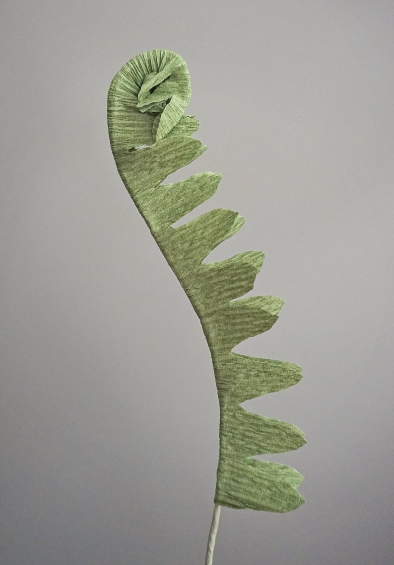 Maidenhair Fern: Handmade Crepe Paper Foliage - Etsy