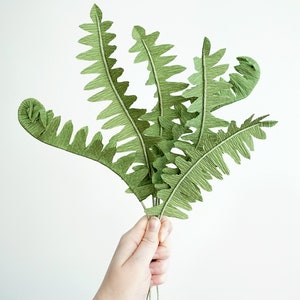 Maidenhair Fern: Handmade Crepe Paper Foliage - Etsy