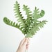 Maidenhair Fern: Handmade Crepe Paper Foliage - Etsy