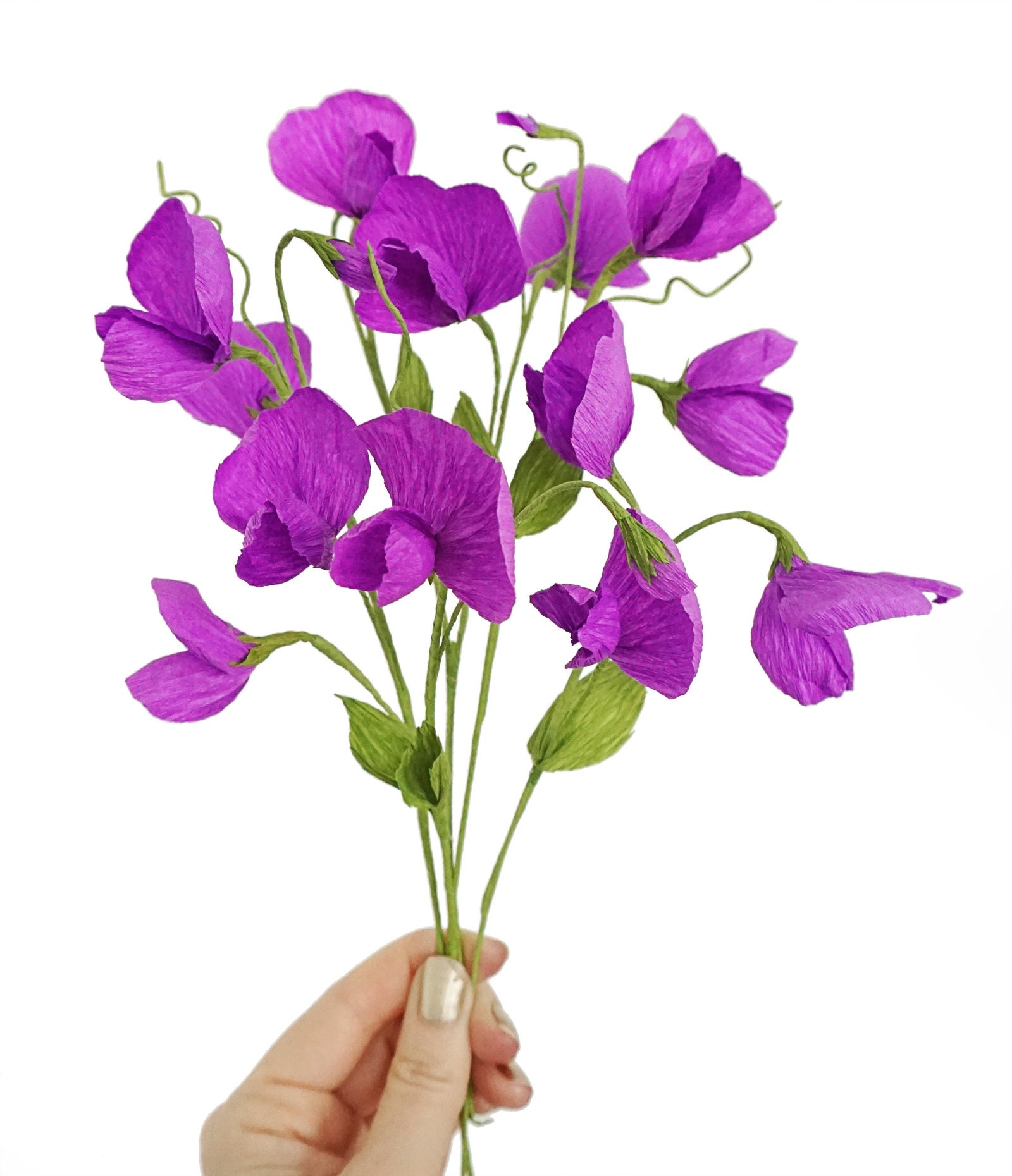 Sweet Pea Vine: Handmade Crepe Paper Flowers - Etsy Sweden